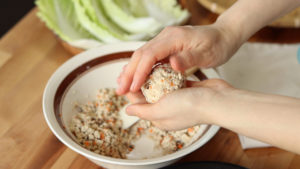 What you Need for an Easy Vegan Lion's Head Stew - WoonHeng